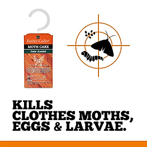 Reefer-Galler Cedar Moth Cake (1) Kills Clothes Moths, Carpet Beetles, and Eggs and Larvae