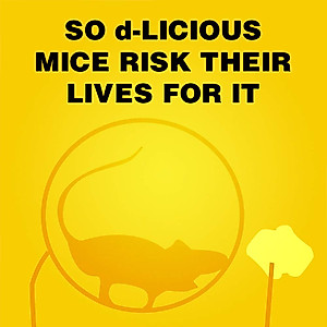 d-Con Disposable Corner Fit Mouse Bait Station, 0.5 Oz (Pack of 3)