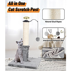 Happi N Pets 22" Cat Scratching Posts for Indoor Cats, Carpet Cat Scratch Post, Sisal Cat Scratcher, Cat Post with Rotatable Hanging Balls & Stable Base, Cat Scratchers for Kittens-Light Gray