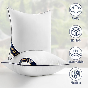 MIULEE 18x18 Pillow Inserts Set of 2 Throw Pillows 18 Inch Premium Down Alternative Pillow Inserts Decorative Pillow Stuffer for Sofa, Couch (18x18 inch, Set of 2)