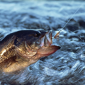 defutay Fishing Swivels Snaps Set, Ball Bearing Swivels with Stainless Steel Duo Lock Snap,10 Pcs Lure Ball Bearing for Saltwater Freshwater Tackle (25mm,10PC)