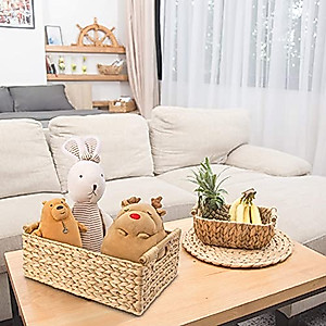 Large Water Hyacinth And Seagrass Basket Storage Wicker Basket Rectangular with Wooden Handles for Shelves