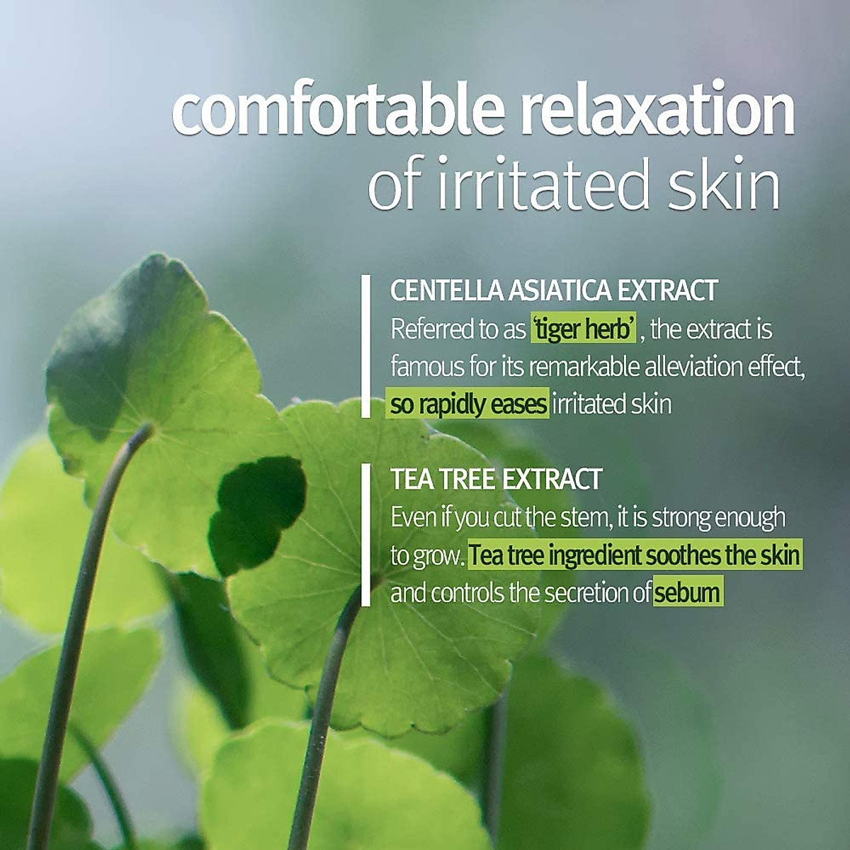 [PKY] Pyunkang Yul Peeling Gel with Immediate Visible Effect, Mild and Smooth Face Scrub with Papaya and AHA, Zero-Irritation, Korean Skincare (3.4 Fl.Oz, 100ml)