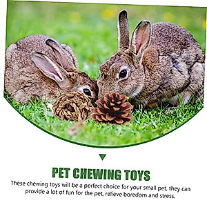 iplusmile 3 Sets Chinchilla Cage Accessories Small Animal Toys Birds Toys Wooden Bunny Toy Pet Bunny Tooth Rabbit Wood Chew Toys Biting Small Toys Rabbit Chew Toy Guinea Pig Molar Toy Sports