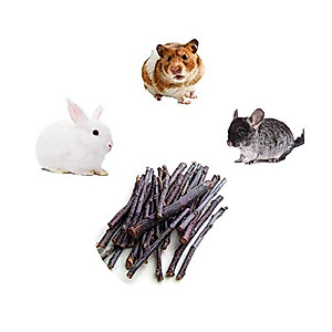 Z-TON Apple Sticks Pet Chew Toys for Chinchillas Guinea Pigs Rabbits Small Animals (100g)