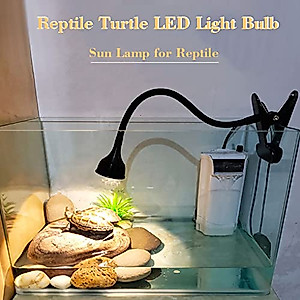 UVA UVB Reptile Light, UVB 10.0 LED Bulb, UVA UVB for Bearded Dragon, Full Spectrum Light Bulb for Lizards, Turtles, Spiders etc.