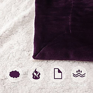NANPIPER Baby Sherpa Blanket,Warm Toddler Throw Blanket,Soft Newborn Fleece Blanket for Winter (Purple,30x40 inches)