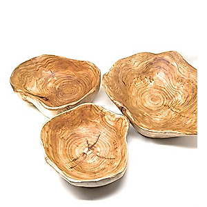 THY COLLECTIBLES Wooden Bowl Handmade Storage Natural Root Wood Crafts Bowl Fruit Salad Serving Bowls (Medium 10"-12")