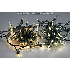 DecoBrite Incandescent 69ft (21m) 300 ct Christmas String Lights Clear with Green Wire, Indoor Outdoor Christmas Lights Decorations for Tree, Patio, Garden（300 Clear Bulbs with Green Wire