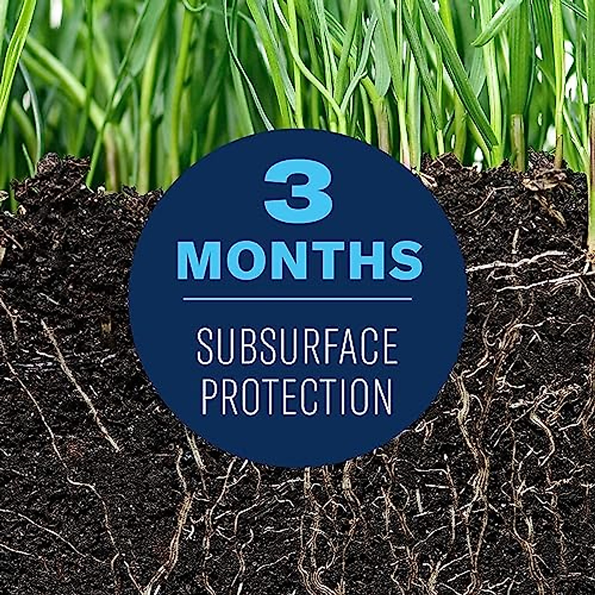 Bayer Crop #700288A 10LB Insect Killer/Lawn