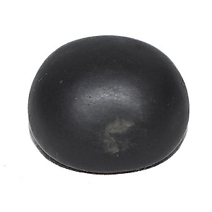 Krishna Shaligram/Santan Gopal Shaligram