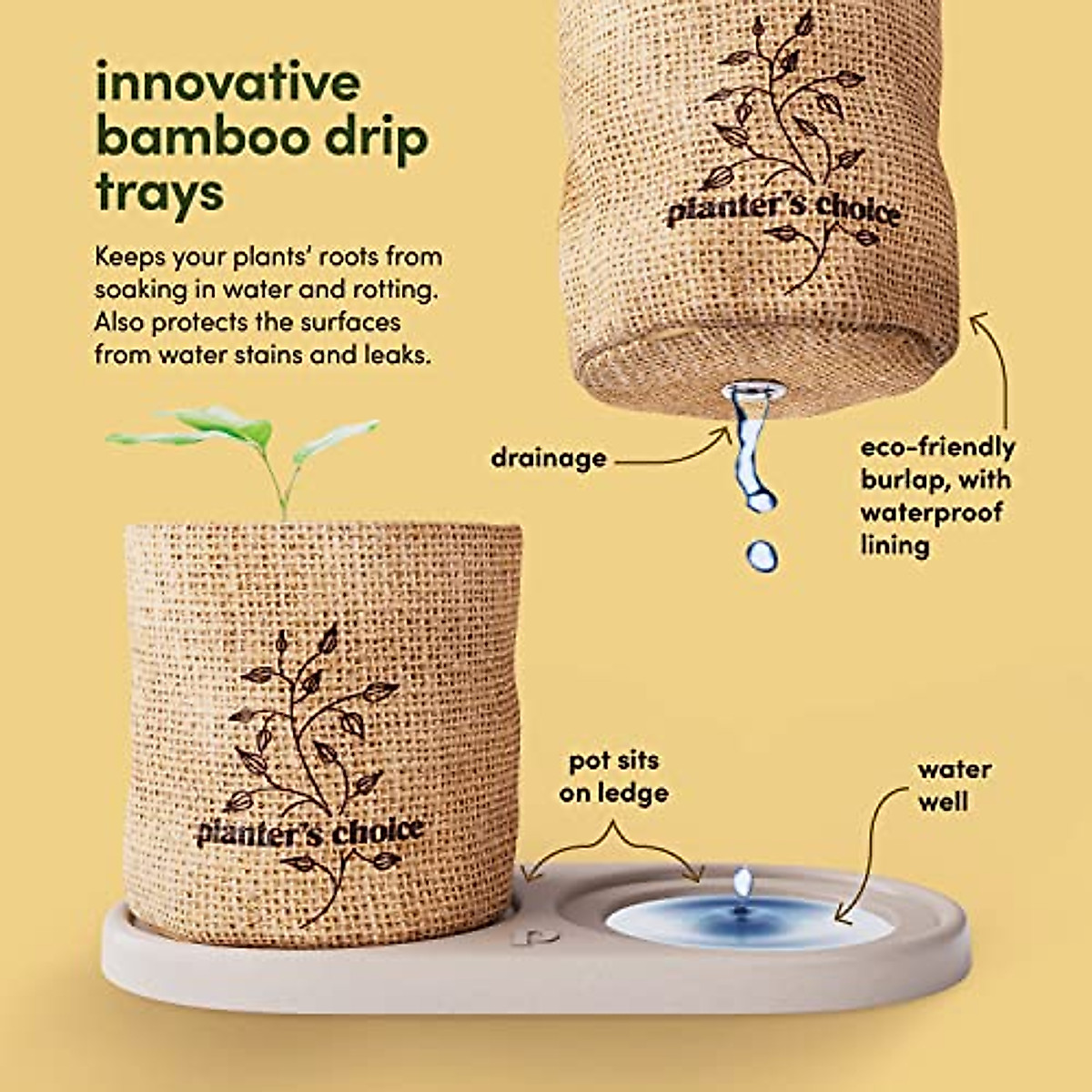 Bonsai Starter Kit - DIY Bonsai Growing Gift - Garden Hobbies for Adults, Women & Men : 4 Unique Tree Seeds, Soil, Pots, Pruning Shears, Plant Markers + Wood Gift Box