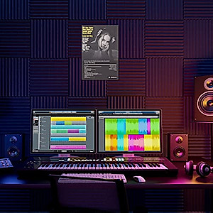 ADILAIDUN Pop Record Did you know that there's a tunnel under Ocean Blvd Album Cover Posters Music Collection Disc Wall Art Print Canvas Posters 12x18inch（Unframed 30x45cm Lana Del Rey）