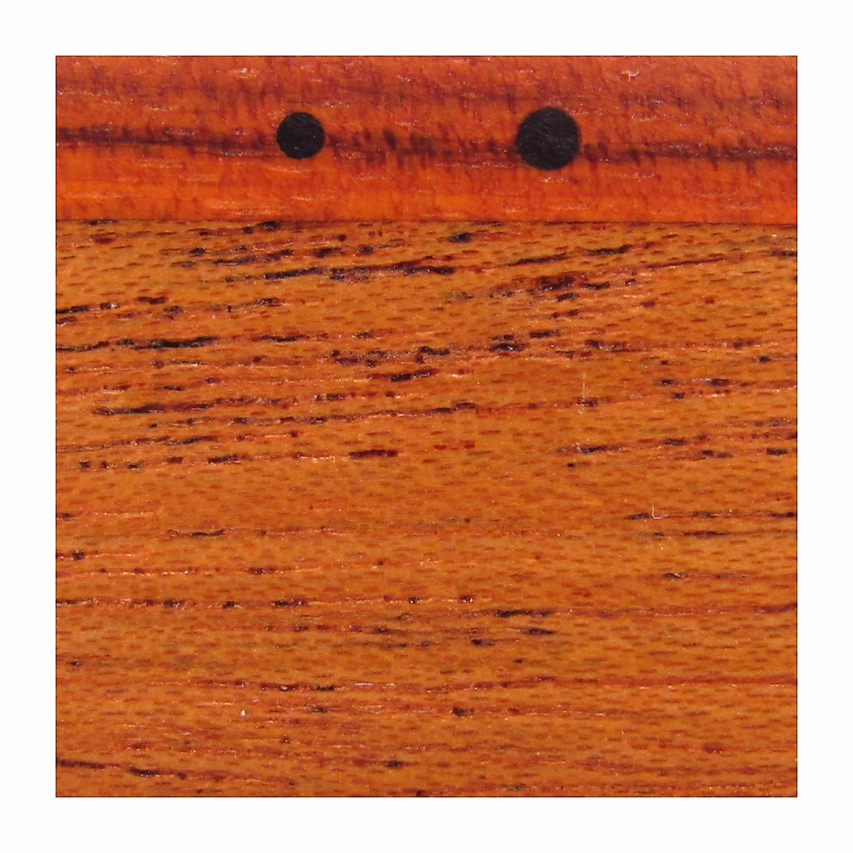 Guitar Side Dot Fret Marker Material – 10 Pack – 1.5 mm – Black - Includes 1.5 mm Drill for Installation