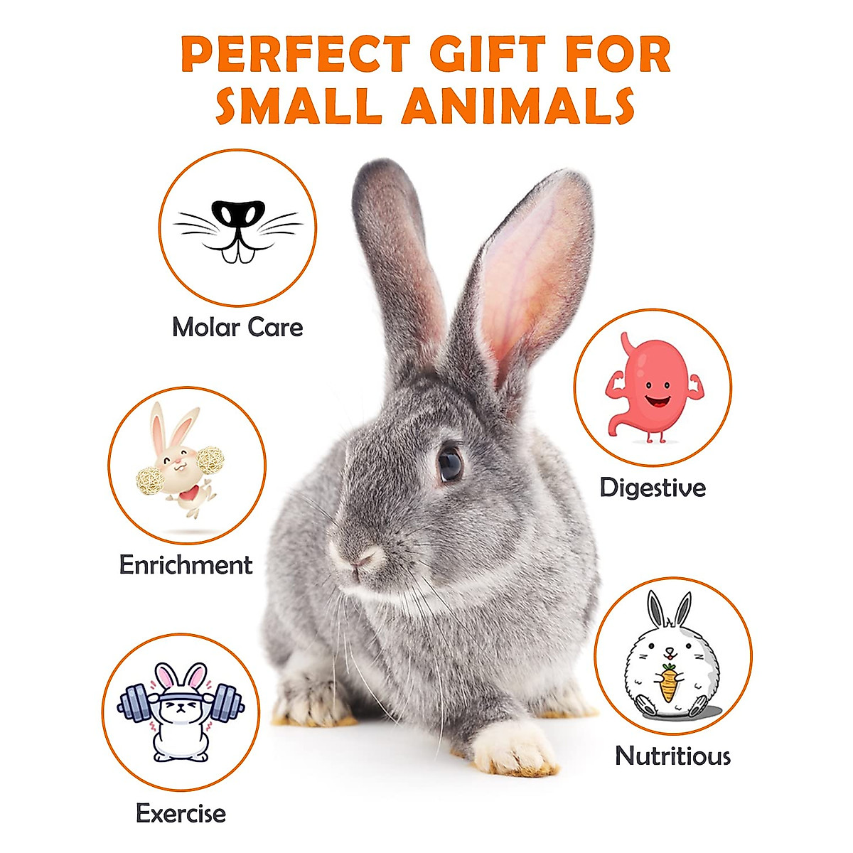 Sofier Rabbit Toys Bunny Toys Guinea Pig Toys 17pcs Natural Timothy Hay Treats Hamster Toys for Teeth Handmade Rabbit Treats and Chews Chinchilla Rat