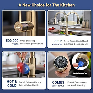 DAYONE Champagne Gold Kitchen Faucet with Soap Dispenser, Brushed Gold Kitchen Sink Faucet with Pull Down Sprayer 3 Modes, Gold Stainless Steel Faucet for 2 Holes Kitchen Sink, DAY-CR0016