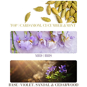 Santal Perfume Roll On with Pure Organic Jojoba Oil, Alcohol Free, Eau de Toilette, Made in California 33