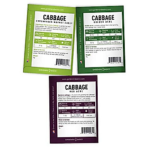 Cabbage Seeds for Planting 5 Individual Packets Bok Choy, Michihili (Napa) Chinese Cabbage, Red, Golden Acre and Copenhagen Market Early for Your Non GMO Heirloom Vegetable Garden by Gardeners Basics