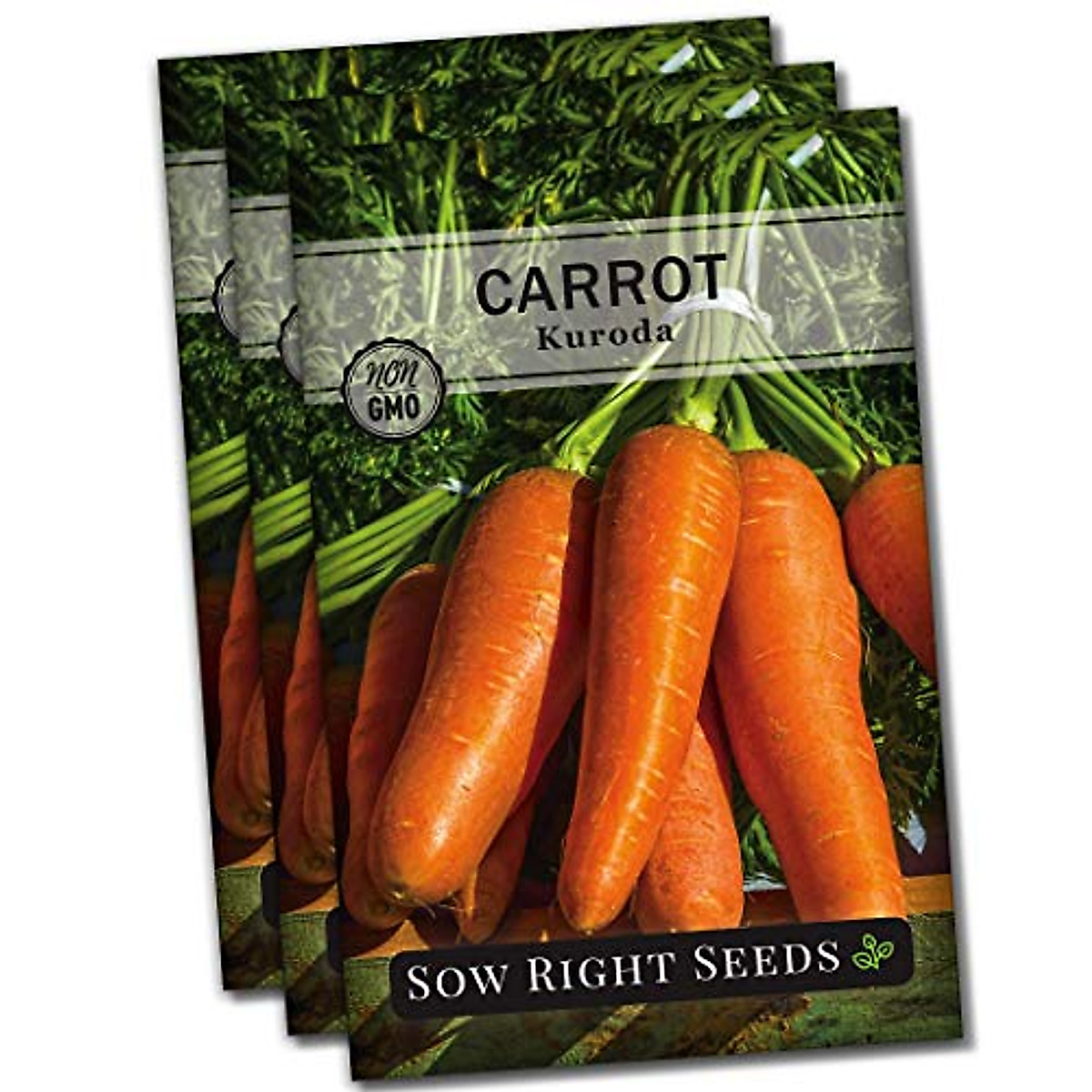 Sow Right Seeds - Kuroda Carrot Seed for Planting - Non-GMO Heirloom Packet with Instructions to Plant a Home Vegetable Garden, Great Gardening Gift (3)