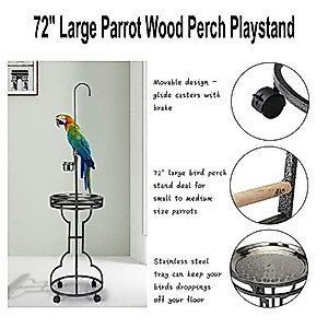 COZIWOW 72" Large Parrot Wood Perch Playstand, Bird Play Stand with Stainless Steel Tray Bowls Toy Hook Rolling Wheel, Wrought Iron Parrot Bird Play Gym Ground Rolling Stand, Black