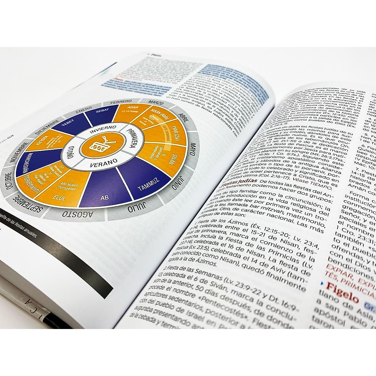 Diccionario enciclopédico bíblico ilustrado CLIE (Spanish Edition)