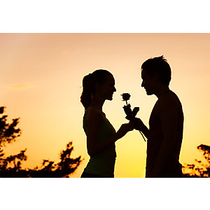 Rare Black Rose Seeds for Planting, Heirloom, No-GMO 200+ Beautiful Flower Seeds Home Garden Bonsai