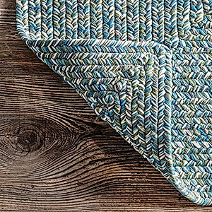 nuLOOM Wynn Braided Indoor/Outdoor Accent Rug, 3x5, Aqua