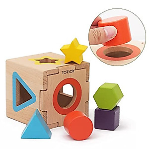 TOTJOY Montessori Toys for 1 Year Olds 18+ Months Wooden Educational Toy for Toddlers Shapes Sorting Stacking Toys Busy Board Sensory Toys Early Development & Activity Toys
