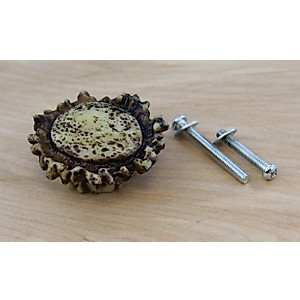 Old River Antler Drawer / Cabinet Knobs (4 Pack) - 2 Sizes of Screws and Washers Included