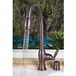 Newport Brass 2510-5103 Nadya Single Handle Kitchen Faucet with Pull-down Spray, Venetian Bronze
