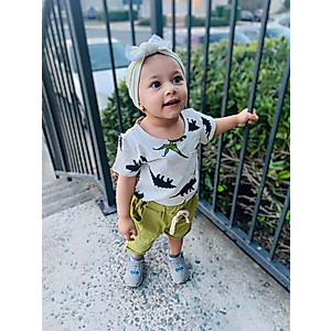 2T Boys Clothes Toddler Boys Summer Outfits Dinosaur T-Shirt & Shorts Set 2 Piece，Green Dino 2-3T/90cm