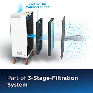 BISSELL, 2677 Replacement Carbon Filter for Air220 and Air320 Air Purifier