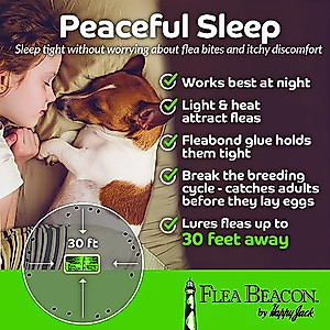 Happy Jack Flea Beacon Kill Fleas in House, Flea Killer, Attracts, Traps Indoor Fleas, Breaks Breeding Cycle Before Adults Lay Eggs, Safe, Fast, & Clean Way to Get Rid of Indoor Fleas, Made in USA