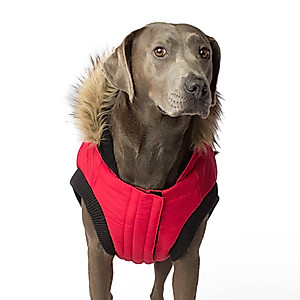 Canada Pooch | North Pole Parka (20 (19-21" back length), Red)