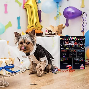 Reusable Dog Birthday Party Supplies, Double Sided Chalkboard for Dog Girl First Birthday, Dog Birthday Backdrop Props, Gift for Cat Party Decorations, Size 10"*12"