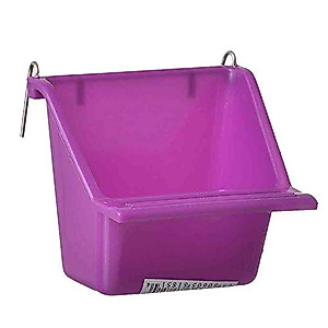 Living World Seed Cup with Perch, Medium, Assorted Colors