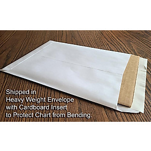 Laminated 6 String Bass Fretboard Notes Chart Nashville Number System & Circle of 5ths Easy Instructional Poster for Beginner for Notebook - A New Song Music 8.5 x 11