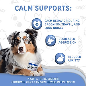 waggedy Great Start Puppy Bundle Multivitamin & Calm Aid – Large or Small Breed Puppy Supplement: Stress, Anxiety, Joint, & Immune System Support (One to Two Month Supply) 120 Puppy Treats