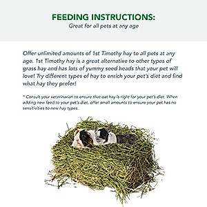 Viking Farmer 1st Cut Timothy Hay, 8 lbs