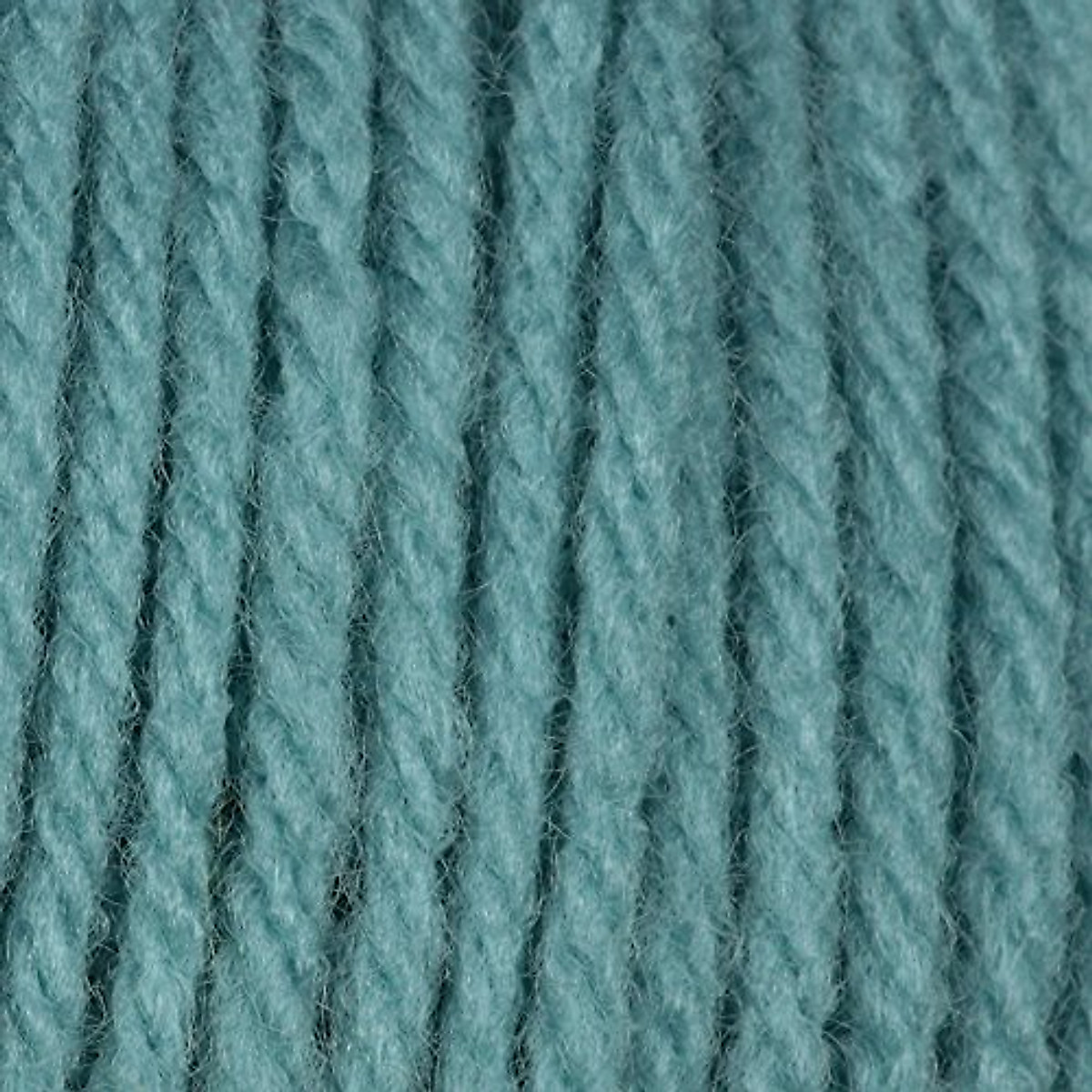 Phentex Worsted Yarn, 14 Ounce, Light Green, Single Ball
