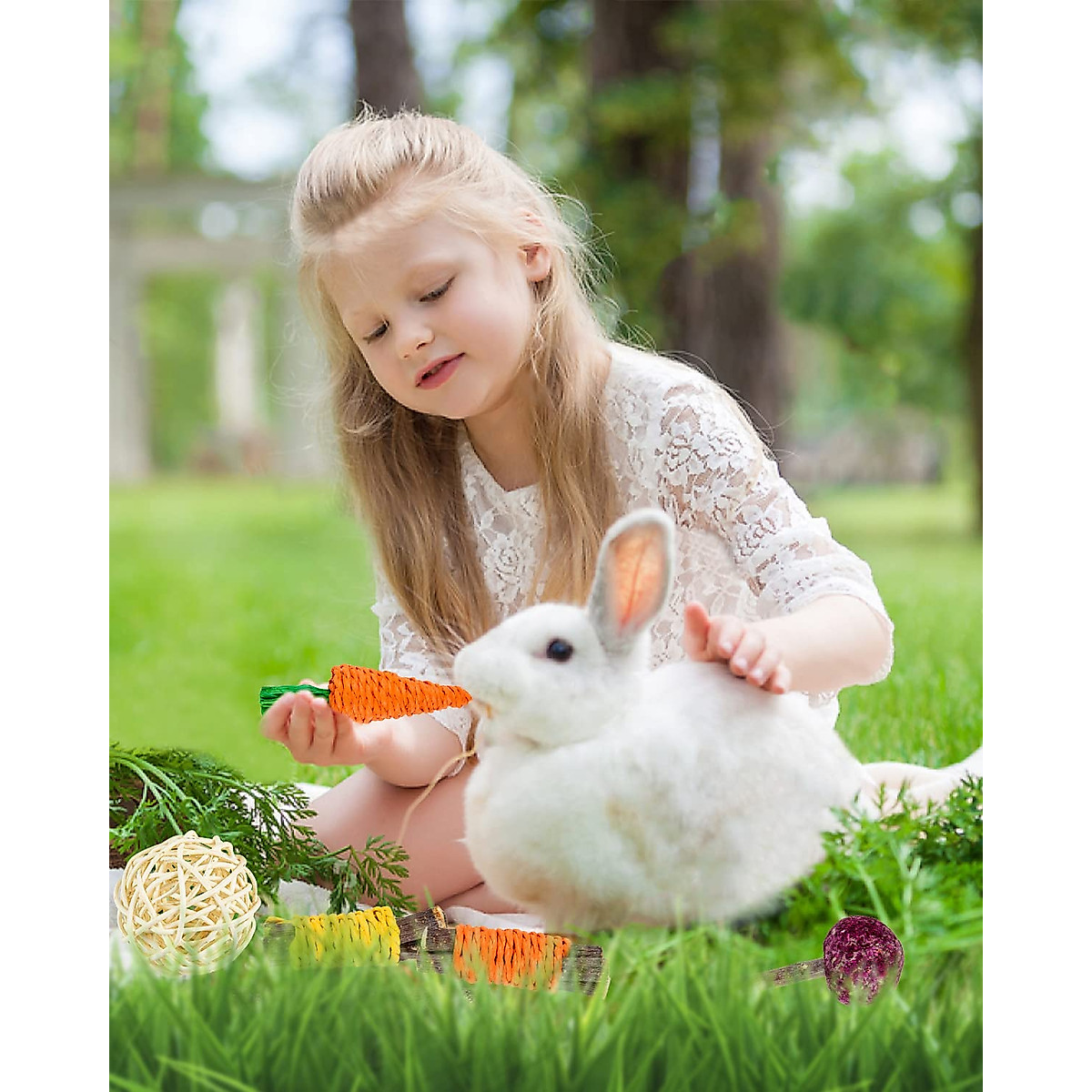 Sofier Rabbit Toys Bunny Toys Guinea Pig Toys 17pcs Natural Timothy Hay Treats Hamster Toys for Teeth Handmade Rabbit Treats and Chews Chinchilla Rat