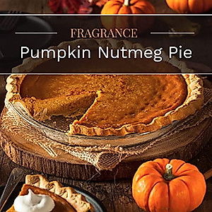 Candle-lite Scented Candles, Pumpkin Nutmeg Pie Fragrance, One 10 oz. Three Wick Aromatherapy Candle with 20-40 Hours of Burn Time, Orange Color