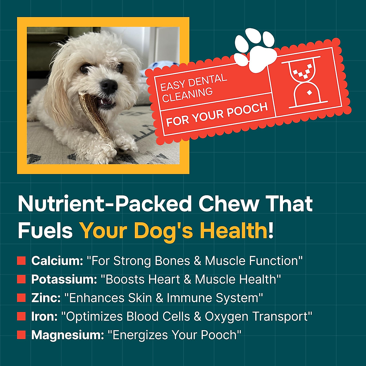 100% Natural - Antlers for Dogs - Naturally Shed in USA - Grade A Long Lasting Chew for Aggressive Chewers - Elk Antlers Dog Antler Chews - Real, Healthy Treats & Toys - No Odor & No Mess - Small