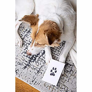 Pearhead Pet Clean-Touch Ink Pad, Medium/Large, Black Ink Pad for Cats or Dogs, Pet Owner, Pet Owner Must Have Item, Pet Memory Keepsake, for Medium to Large Pets