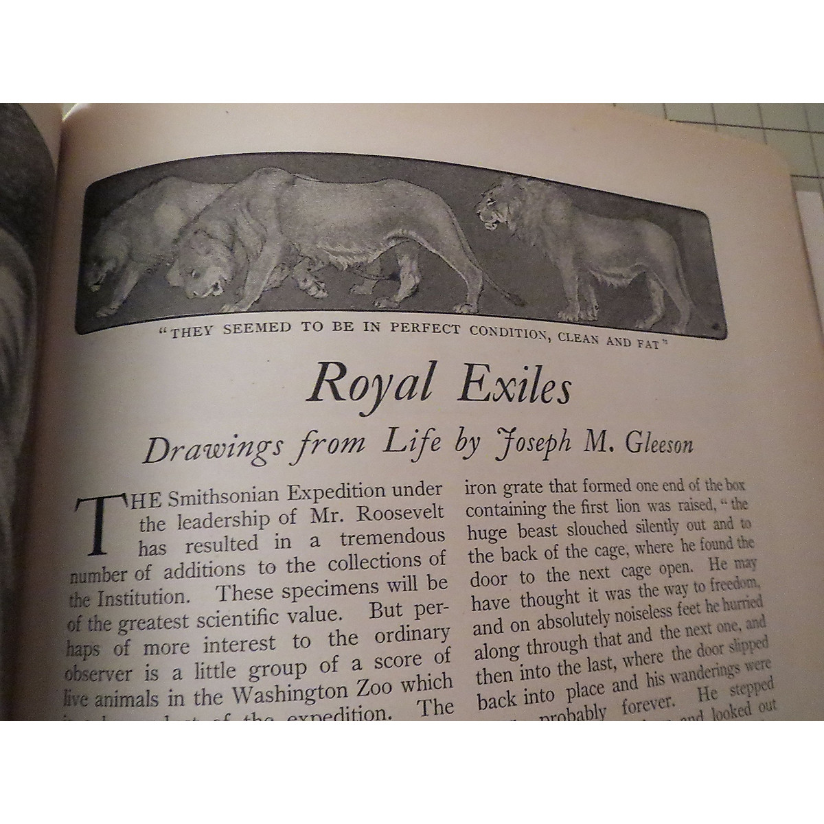 The Outlook: How Air Travel Began:Glenn Curtiss & Early Aviation - Theodore Roosevelt in England - My Orchard Garden - Psychology and Daily Life - Five Ways to Fairyland (Poem) - Milwaukee,A Socialst City - A Violin Village