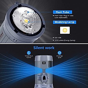 Neewer 600W Battery Powered Outdoor Studio Flash Strobe Lighting Kit:(2)VISION4 Monolight with 2.4G System,(2)Translucent White Umbrella,(2)Rectangular Softbox for Video Shooting Location Photography