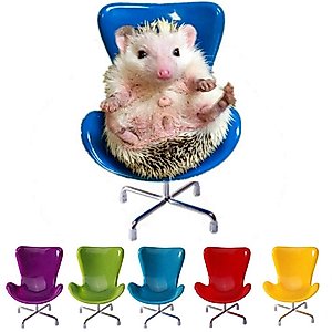 Hedgehog Chair Mini Plastic Swivel Seat Small Animal Toys Habitat Decor Cage Accessories Hedgehog Supplies Photo Props Chair Toy for Hedgehog,Bird,Parrot,Mouse,Chinchilla, Rat,Gerbil,Dwarf Hamster
