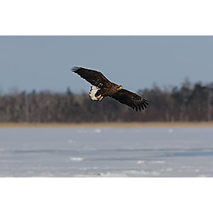 Canon EOS R7 Mirrorless Camera with RF-S 18-150mm Lens Kit