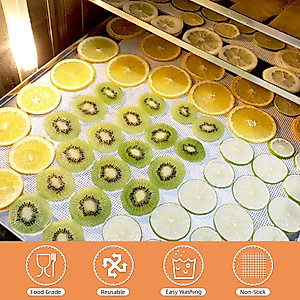 Sopito 6pcs Square Non Stick Silicone Dehydrator Sheets for Fruit Dryer Mesh