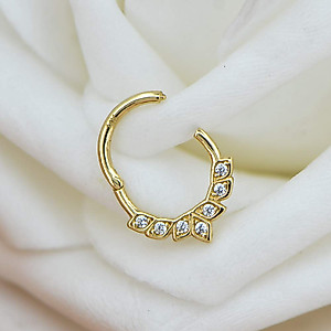 OUFER Daith Piercing Jewelry 14K Solid Gold Daith Earrings Hoop Cluster CZ Hinged Segment Clicker Daith Clicker Helix Ear Piercing